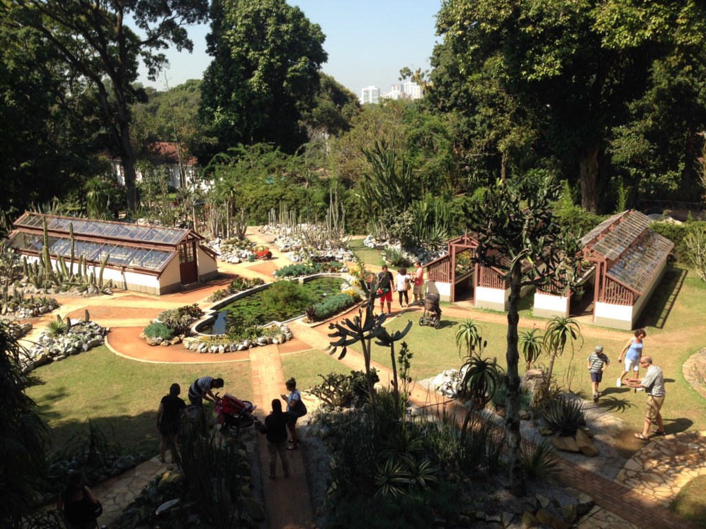 Jardim Botânico do Rio de Janeiro apresenta o Projeto Rio Natureza ...