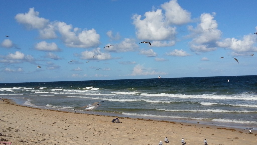 Praias de Nudismo na Flórida - Trilhas e Aventuras