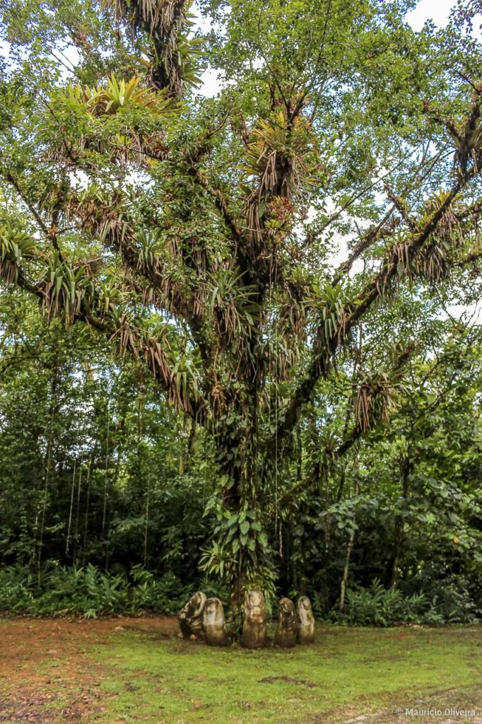 Ekôa Park - Novo parque de aventuras em Morretes - Trilhas e Aventuras