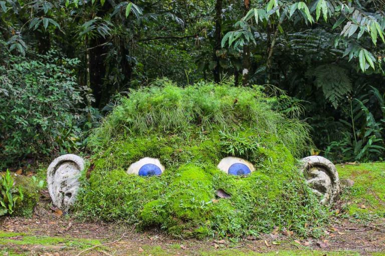 Ekôa Park - Novo parque de aventuras em Morretes - Trilhas e Aventuras